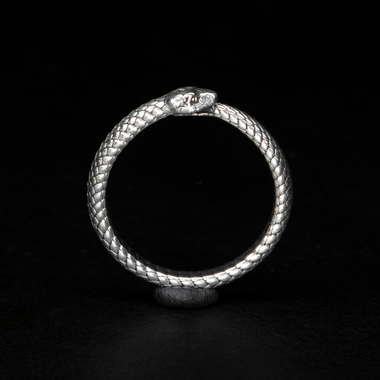 Snake Band Ring - ENDLESS – AHW Studio