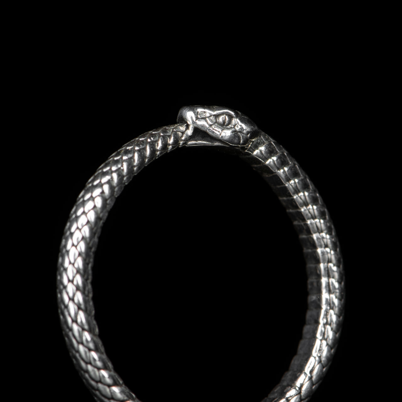 Snake Band Ring - ENDLESS – AHW Studio